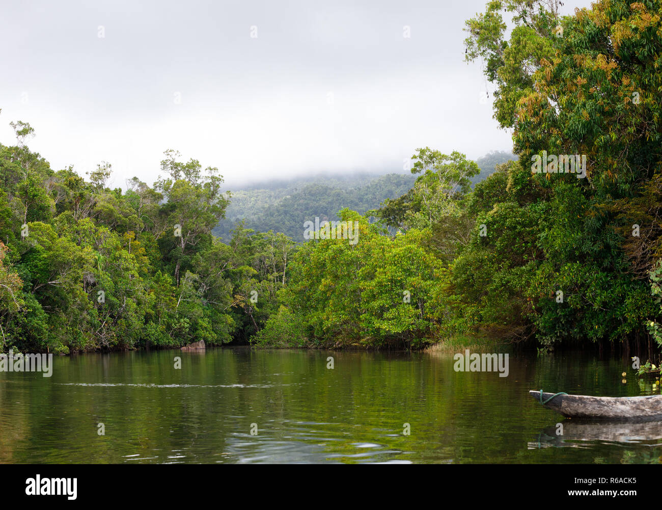 Masoala National Park landscape, Madagascar Stock Photo - Alamy