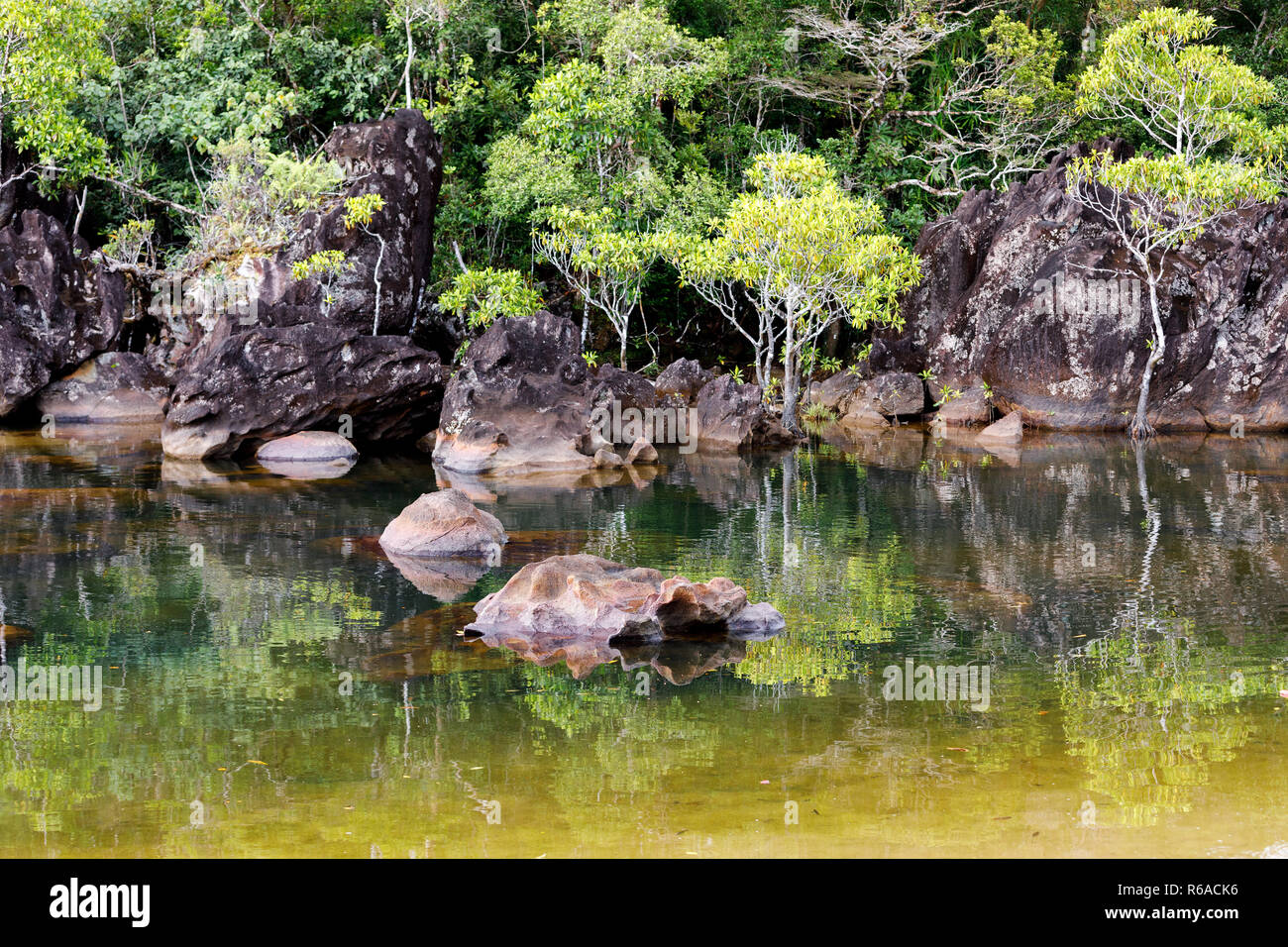 Masoala National Park
