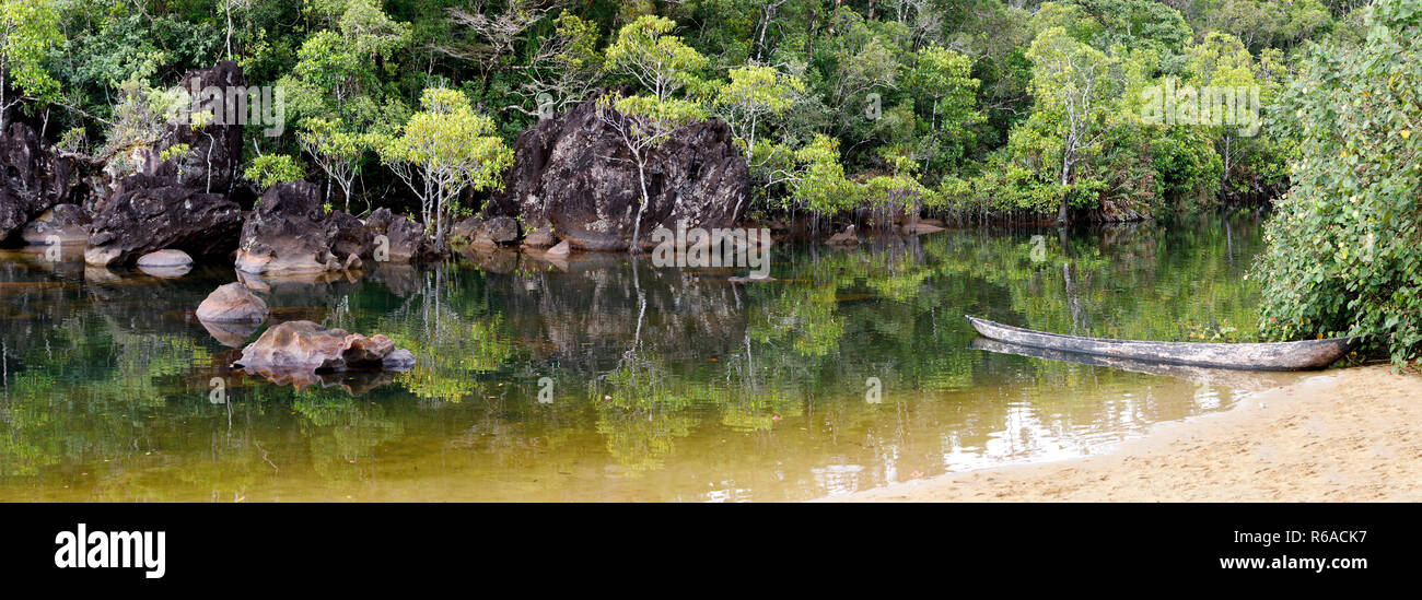 Masoala National Park landscape, Madagascar Stock Photo - Alamy