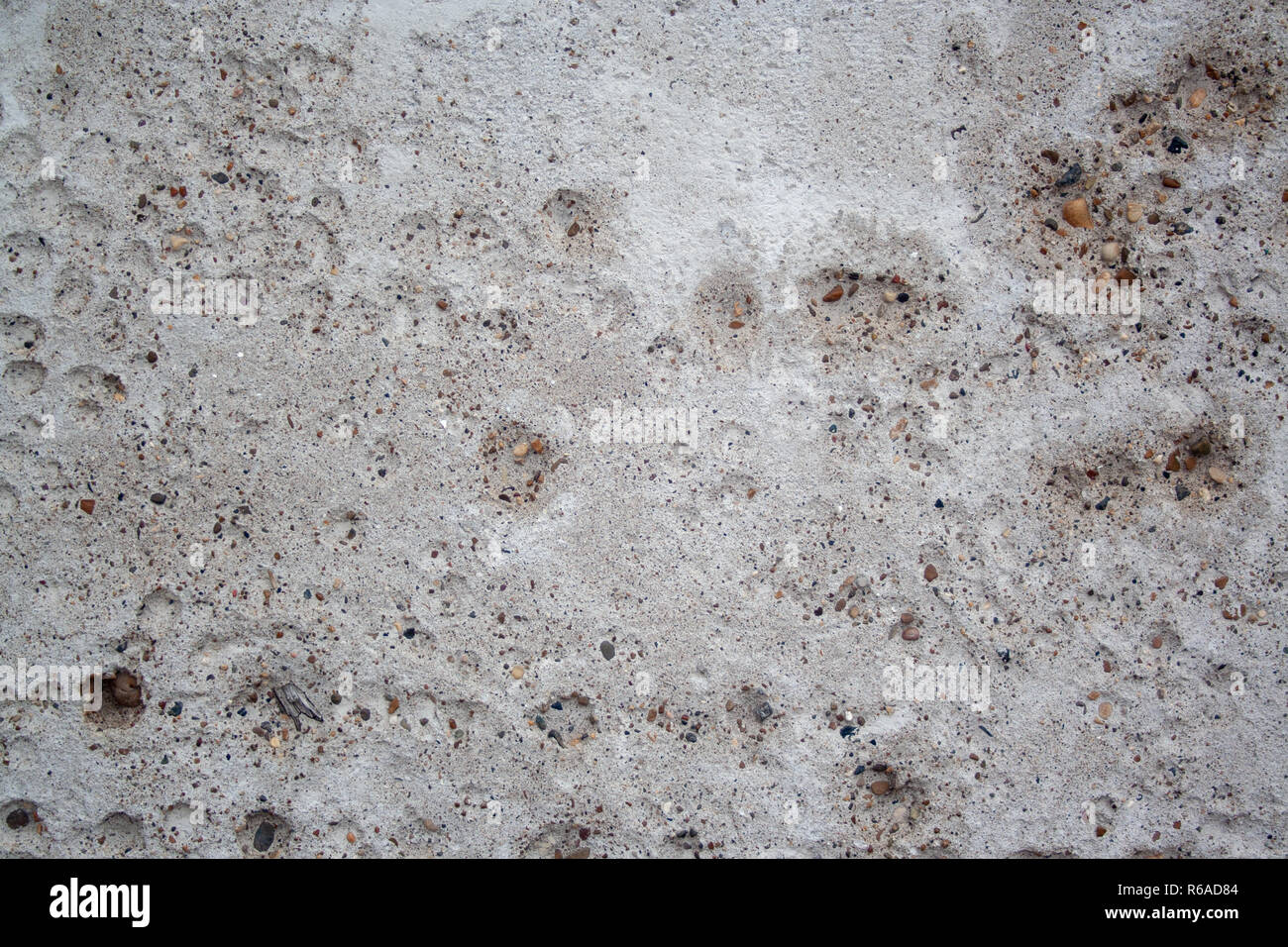 Old concrete wall. Crumbled plaster texture. Background cement Stock ...