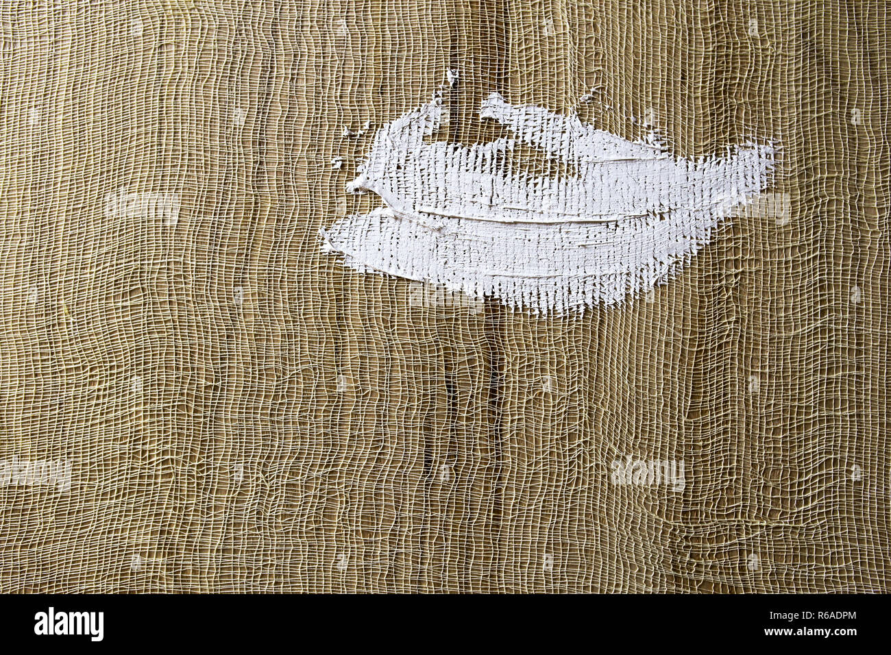 Canvas primer paint brush hi-res stock photography and images - Alamy