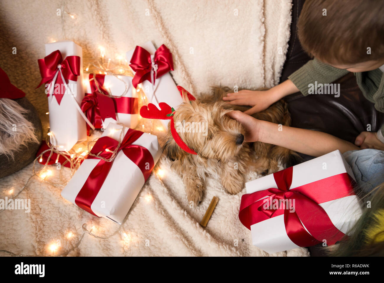 Children receiving Christmas gift box with puppy inside. Dog with red ...