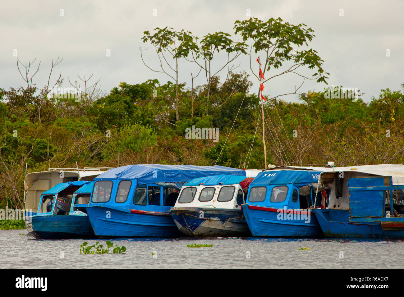 Amazon scene hi-res stock photography and images - Alamy