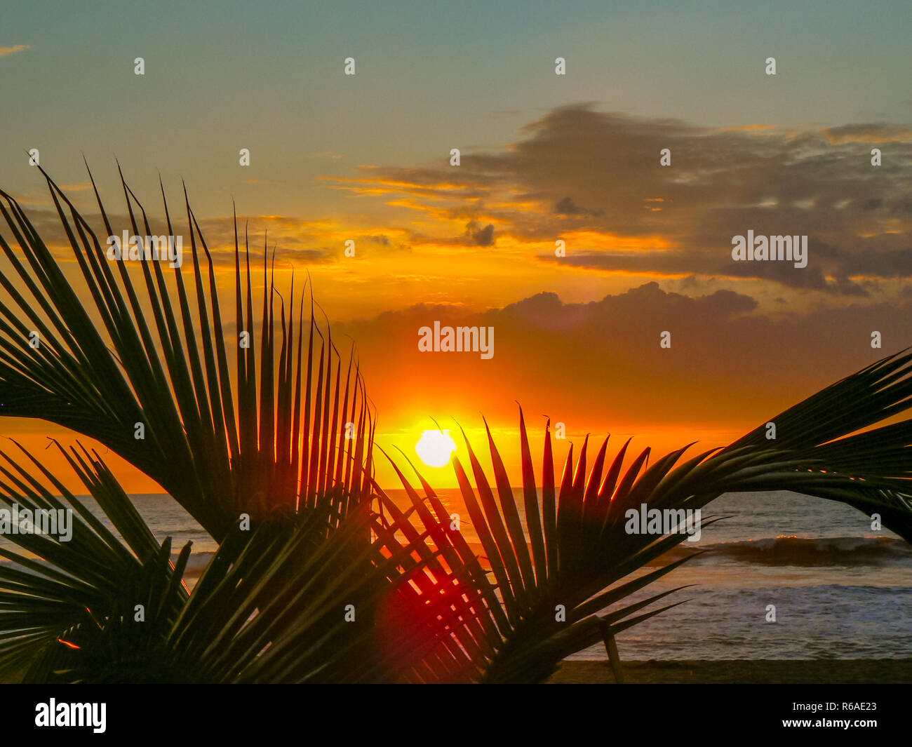 Sonnenuntergang am Strand von Sri Lanka Stock Photo - Alamy Sonnenuntergang am Strand von Sri Lanka Stock Photo - Alamy