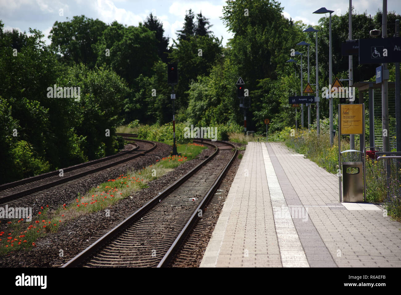 Railroad track transportation flora landscape hi-res stock photography ...