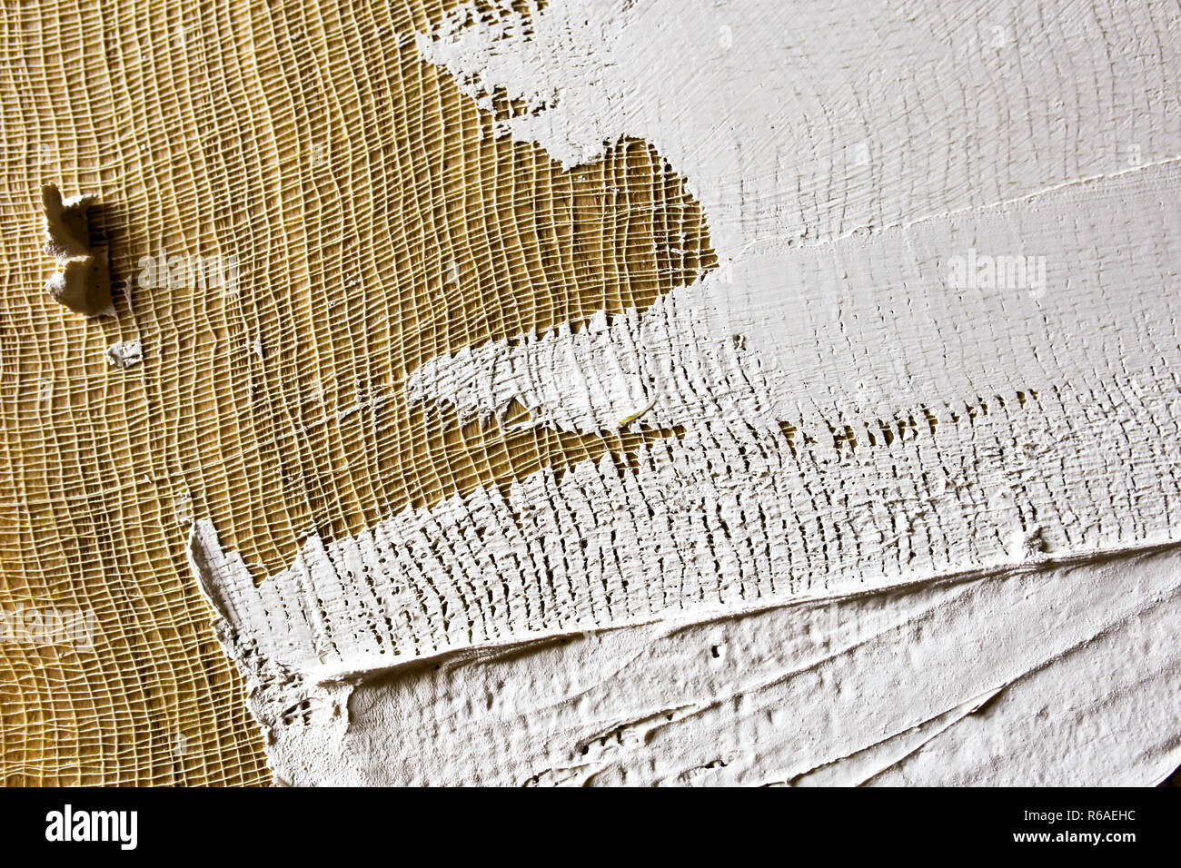 a wash of white primer of the canvas. texture for artists Stock Photo ...