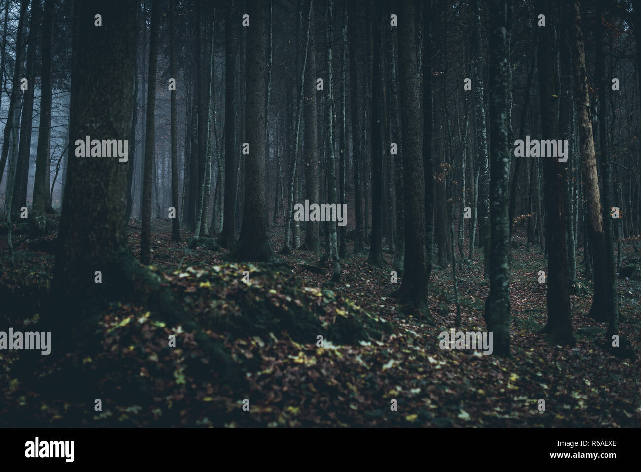 dark shadows wood - moody style images Stock Photo - Alamy