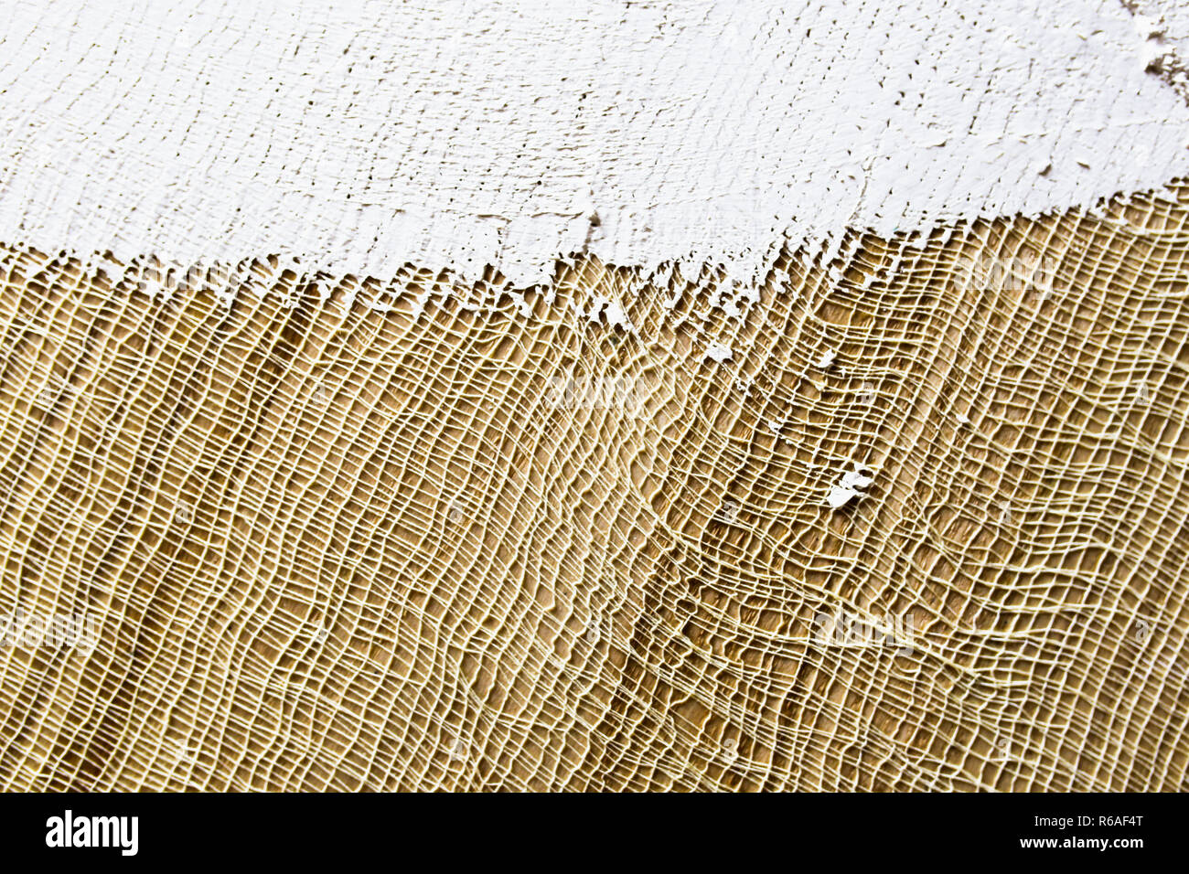 a wash of white primer of the canvas. texture for artists Stock Photo ...
