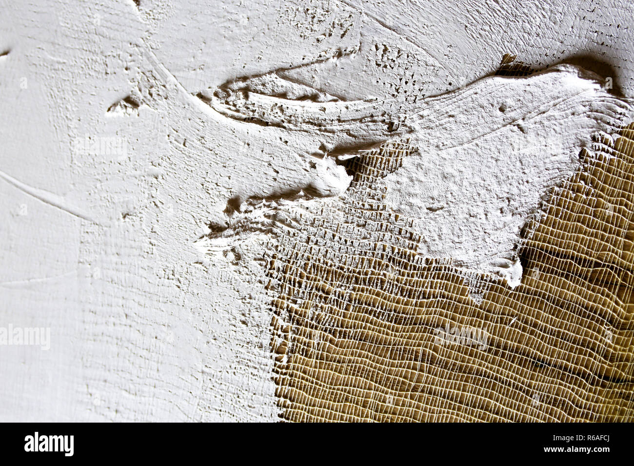 a wash of white primer of the canvas. texture for artists Stock Photo ...