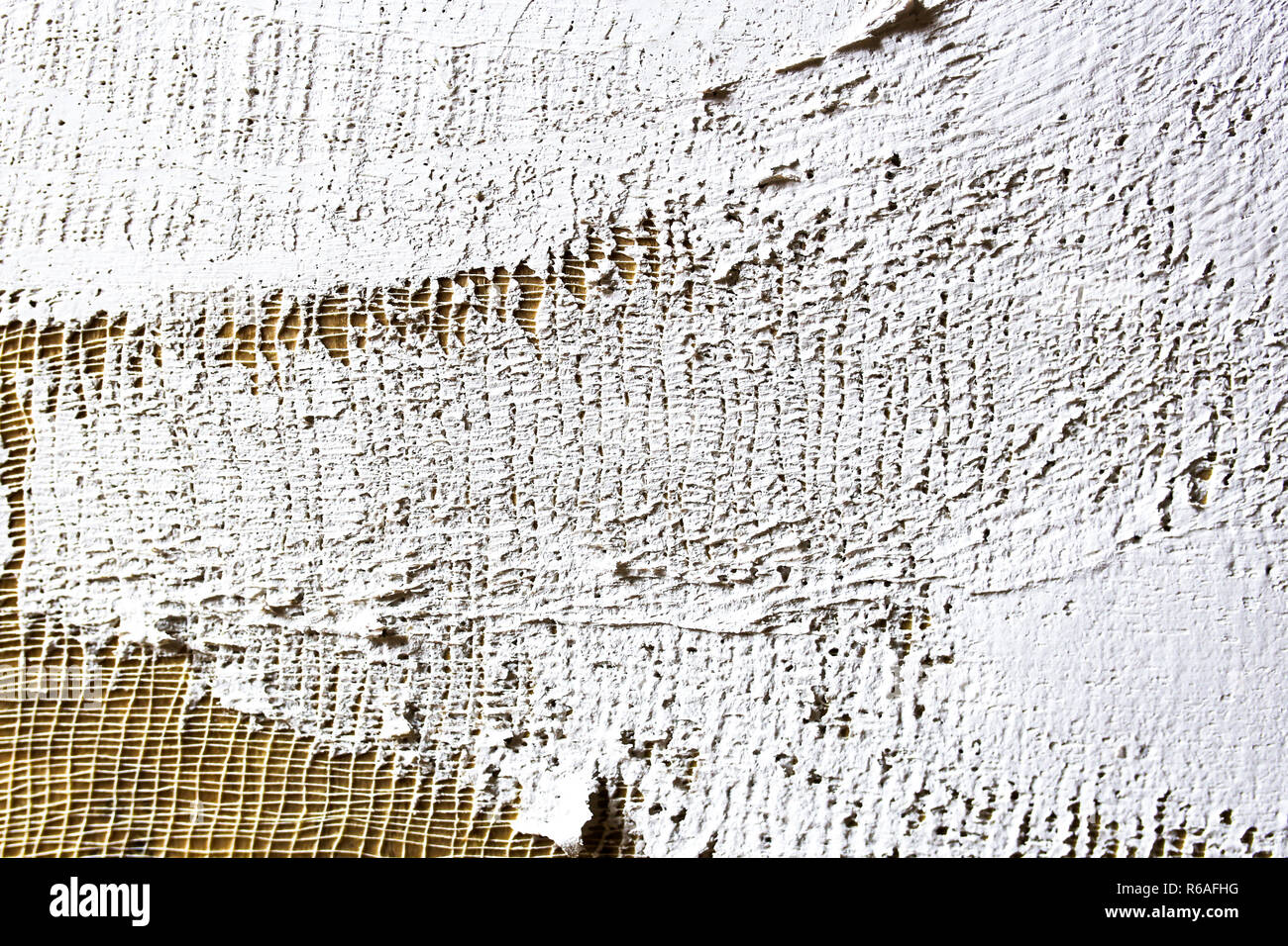 Canvas primer paint brush hi-res stock photography and images - Alamy