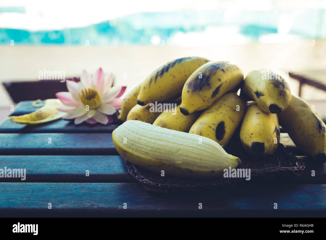 Yellow cultivated banana, Raw Organic Yellow Baby Bananas in a Bunch ...