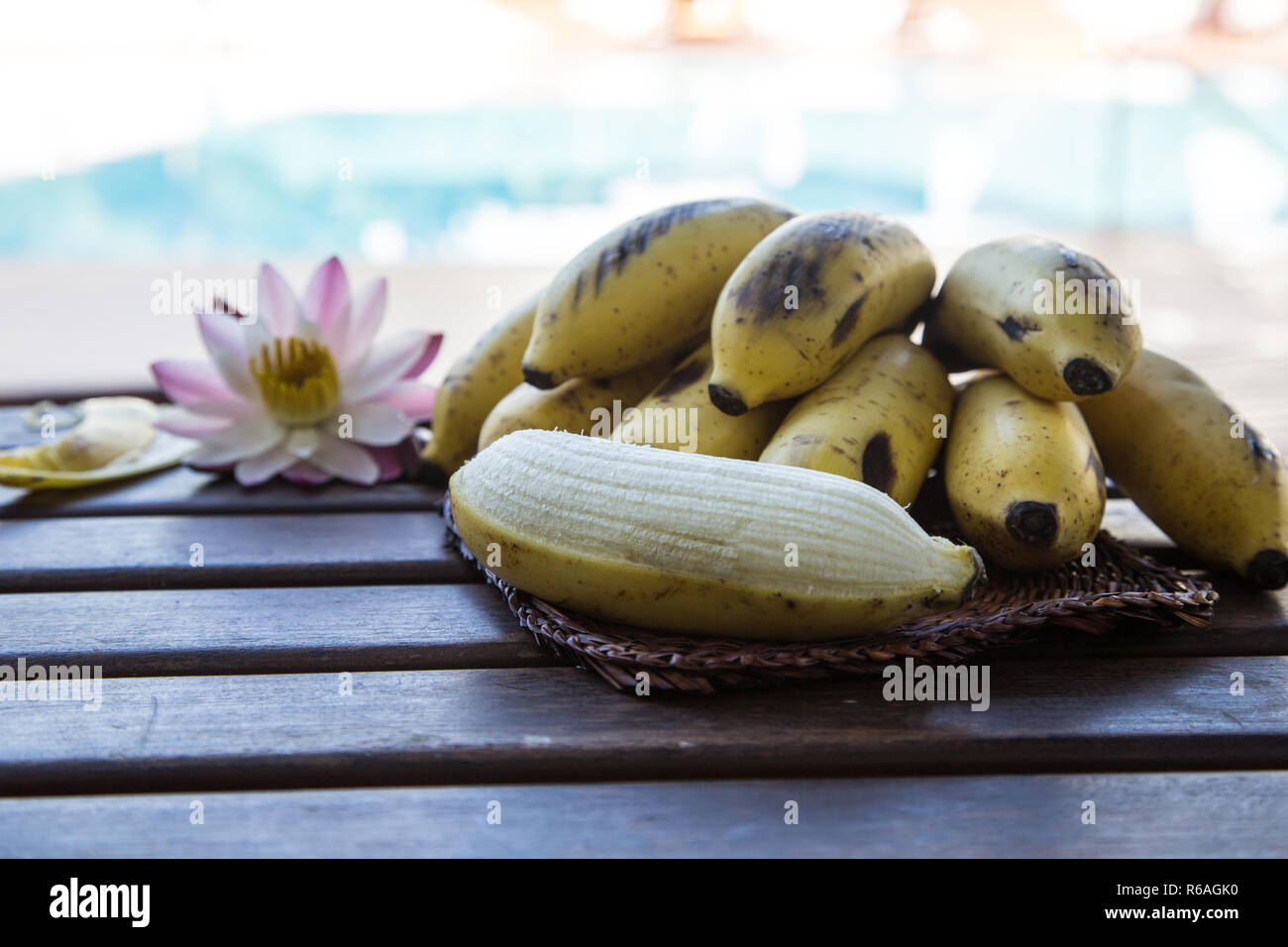 Yellow cultivated banana, Raw Organic Yellow Baby Bananas in a Bunch ...