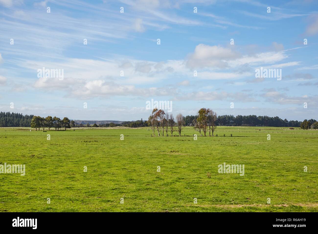 Flat green pasture flat ground hi-res stock photography and images - Alamy