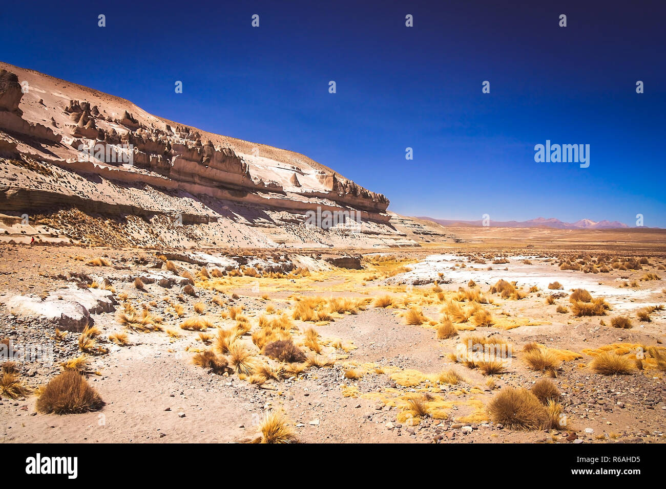 Landscape of the high peruvian plateau Stock Photo - Alamy