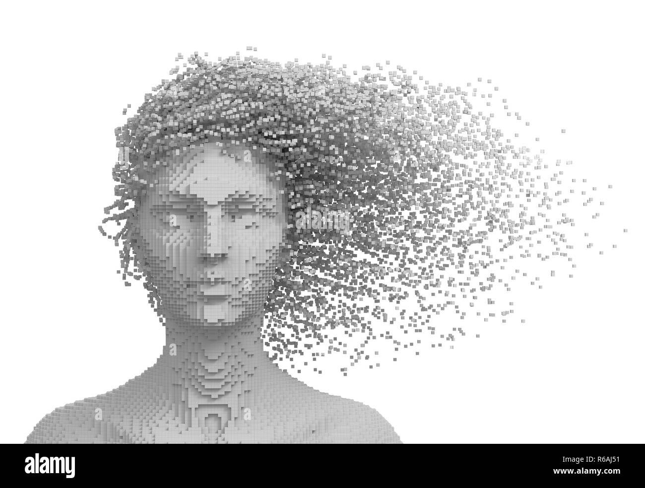 Pixelated Black and White Stock Photos & Images - Alamy