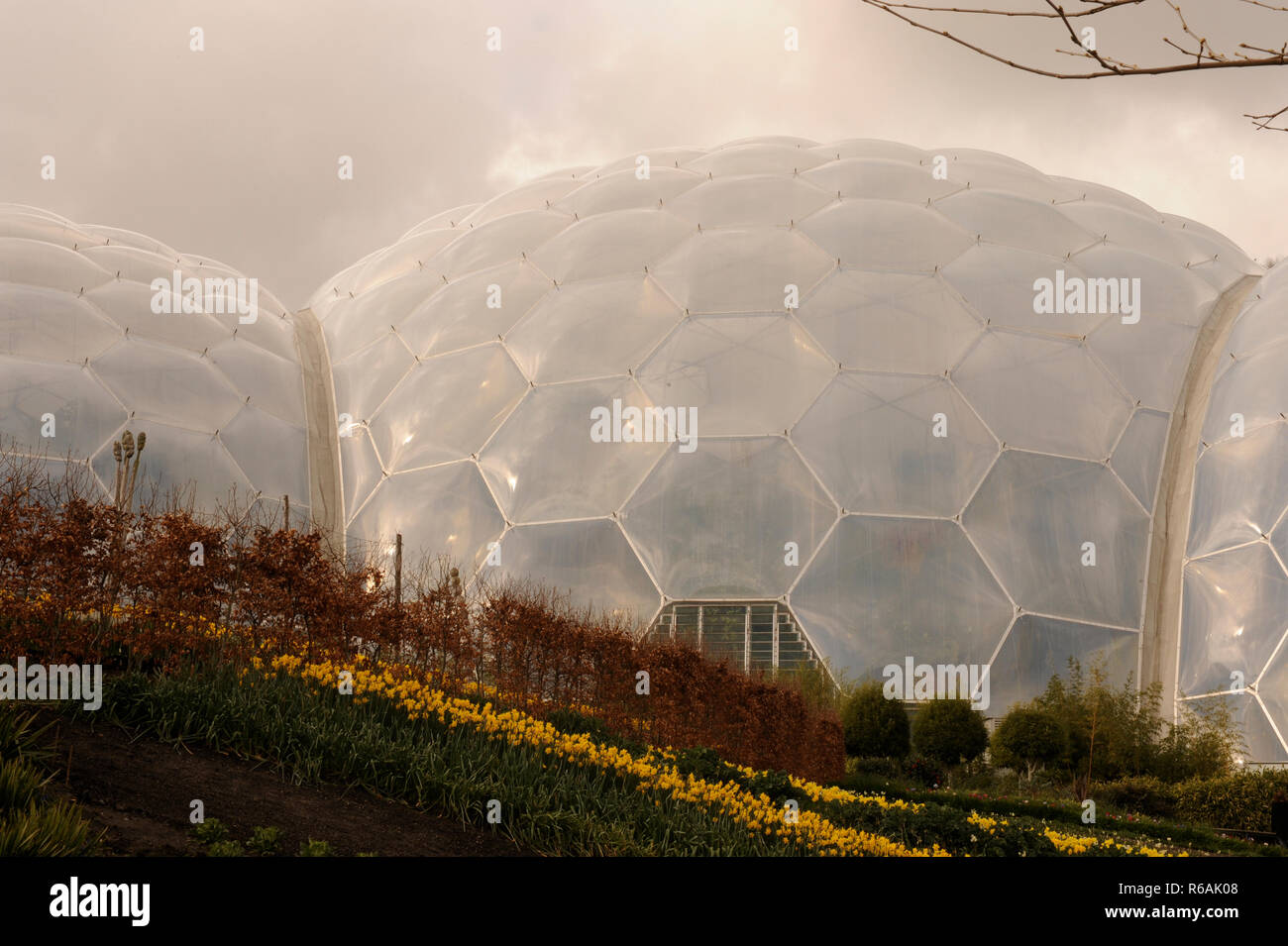 Indoor eden project hi-res stock photography and images - Alamy