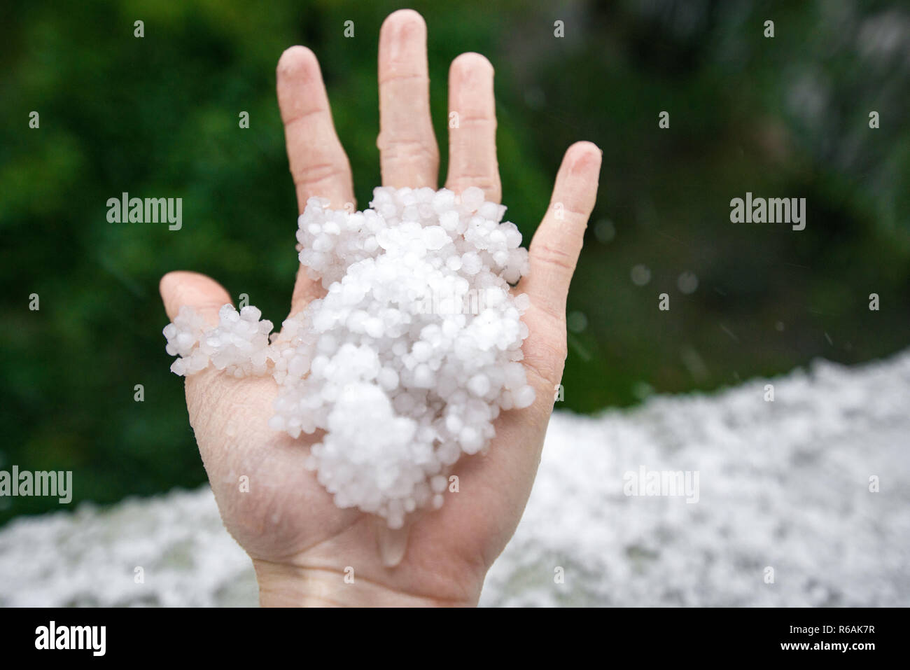 Large grains of hail hi-res stock photography and images - Alamy