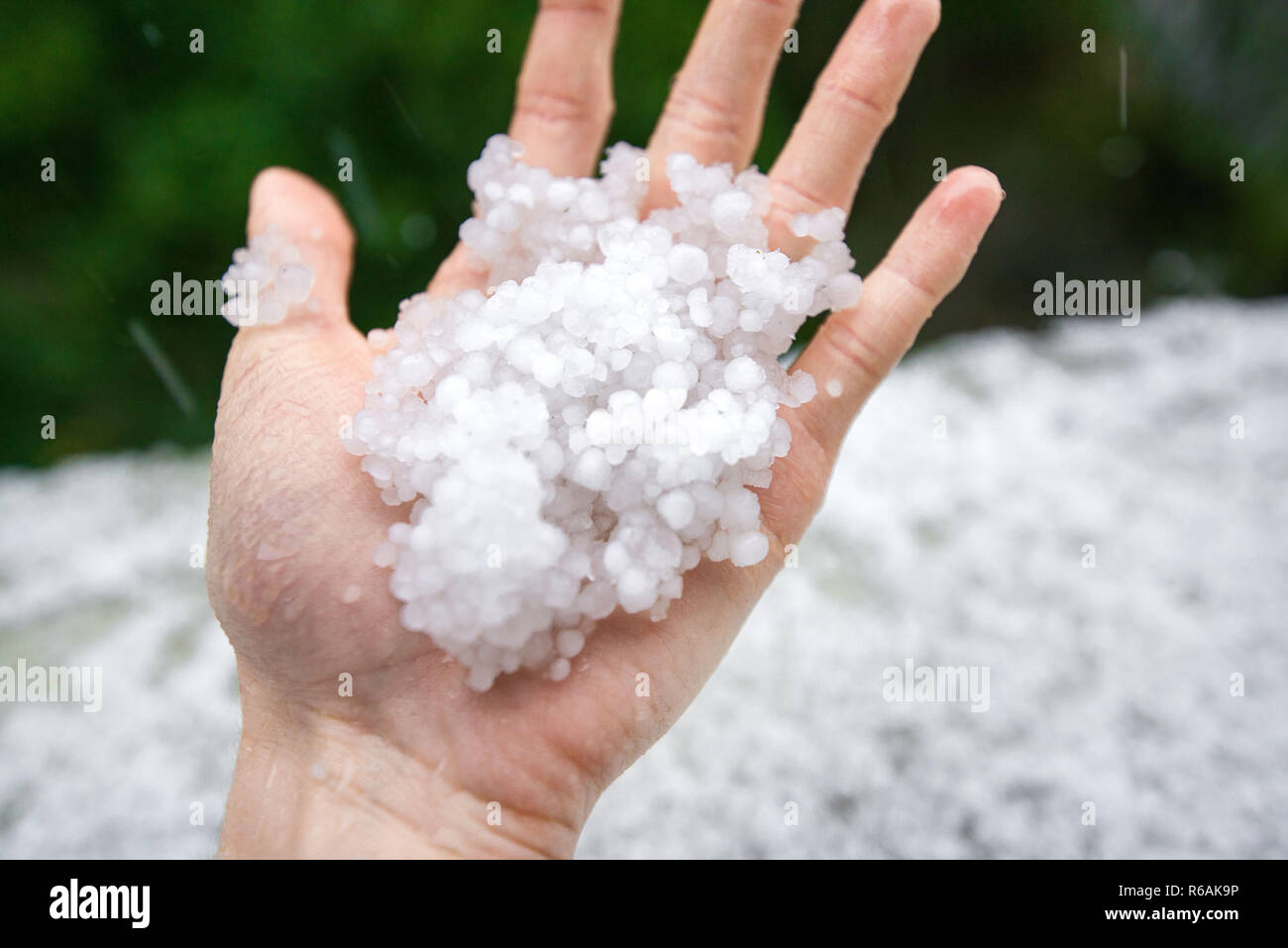 Large grains of hail hi-res stock photography and images - Alamy