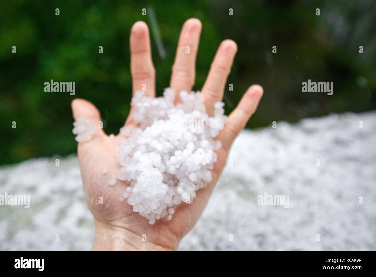Large grains of hail hi-res stock photography and images - Alamy