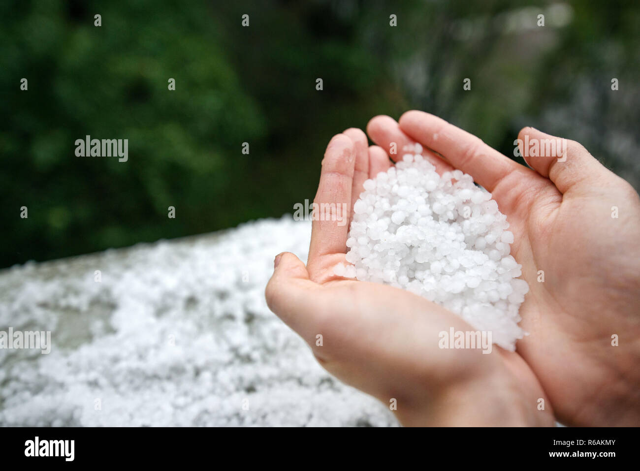 Large grains of hail hi-res stock photography and images - Alamy