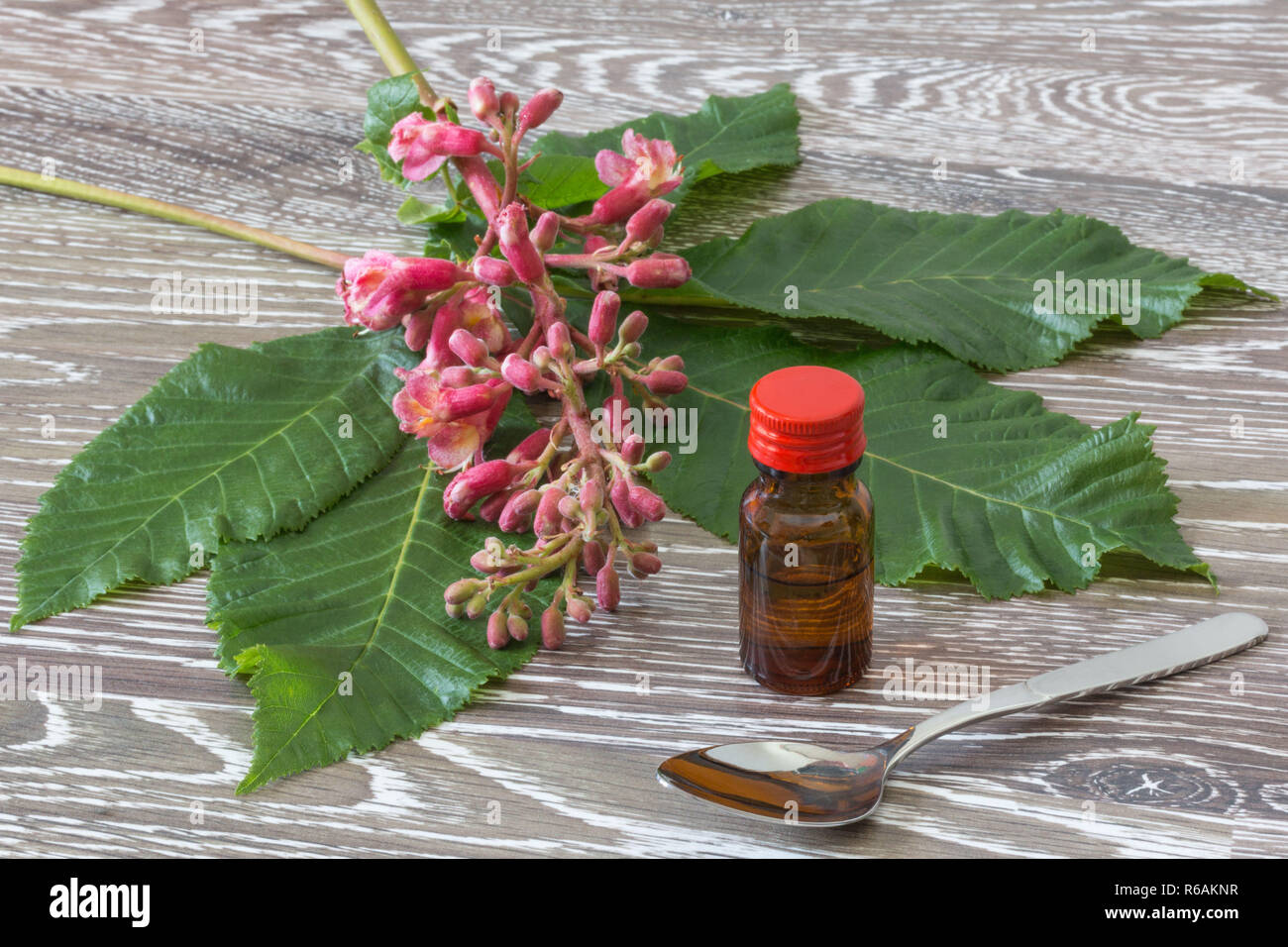 Bach Flower Drops With Red Chestnut Blossoms And Spoon Stock Photo - Alamy