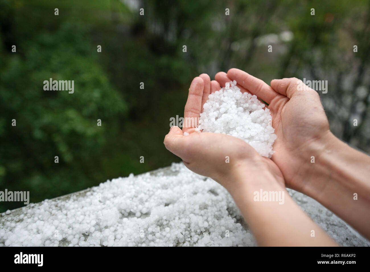 Holding freezing granulated hail ice crystals, grains in hands after ...