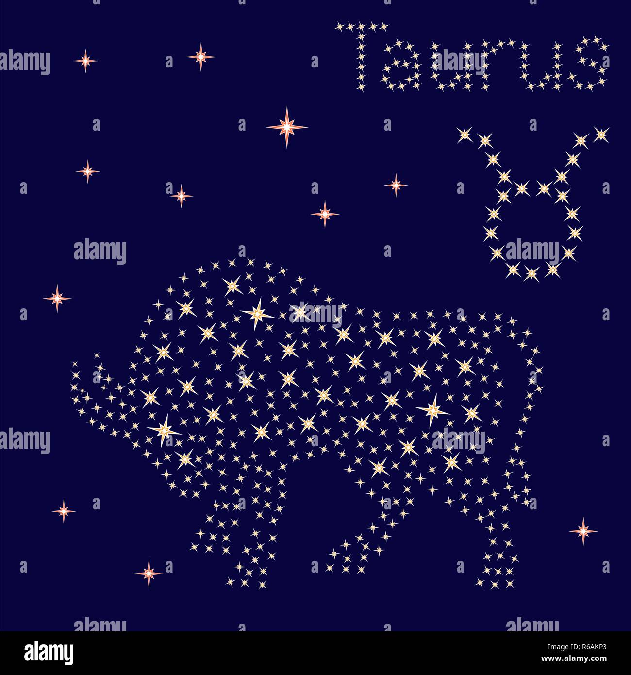 Asterism taurus star bull animal Stock Vector Images - Alamy