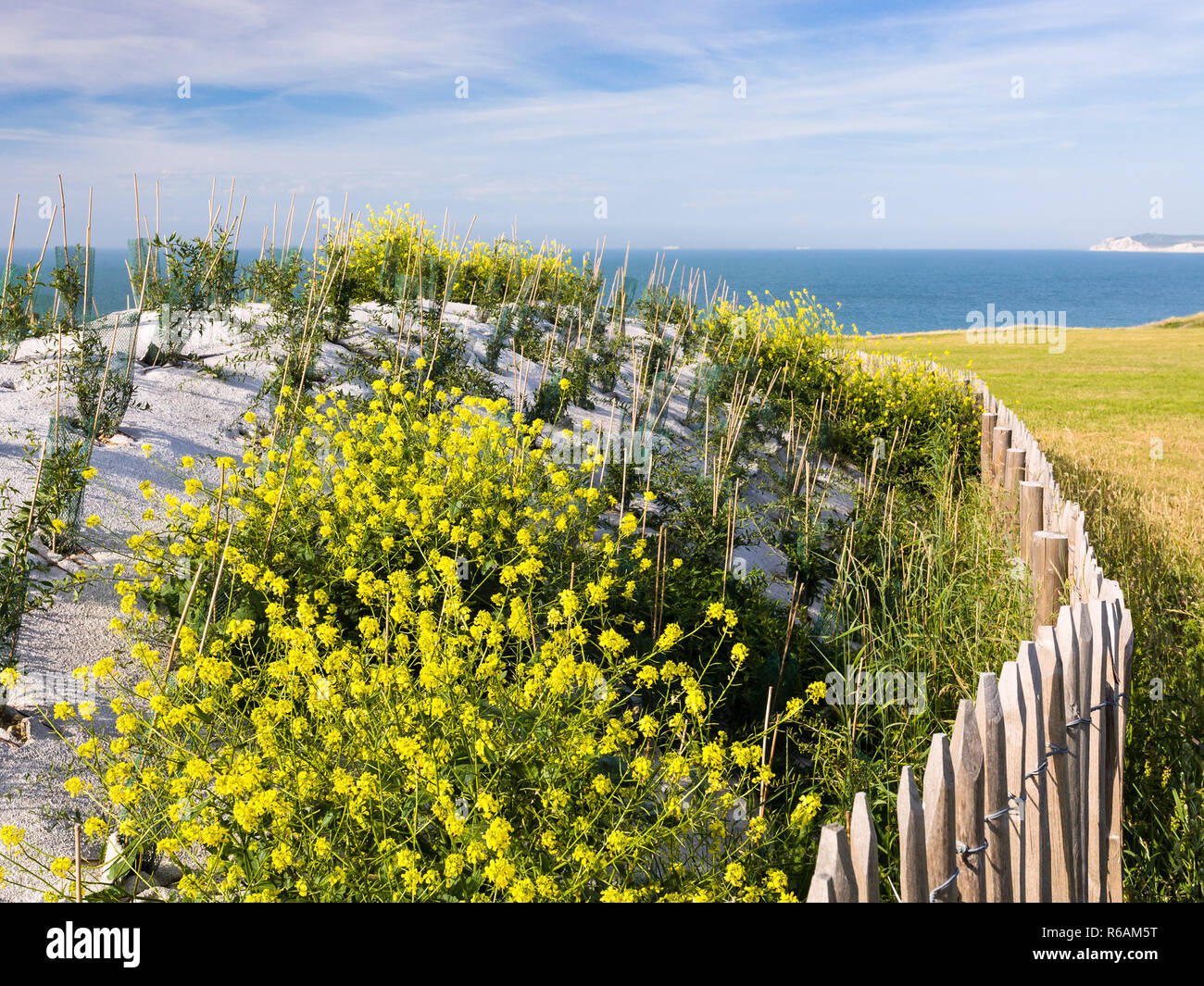 bunker on Cap Gris-Nez on English channel Stock Photo - Alamy