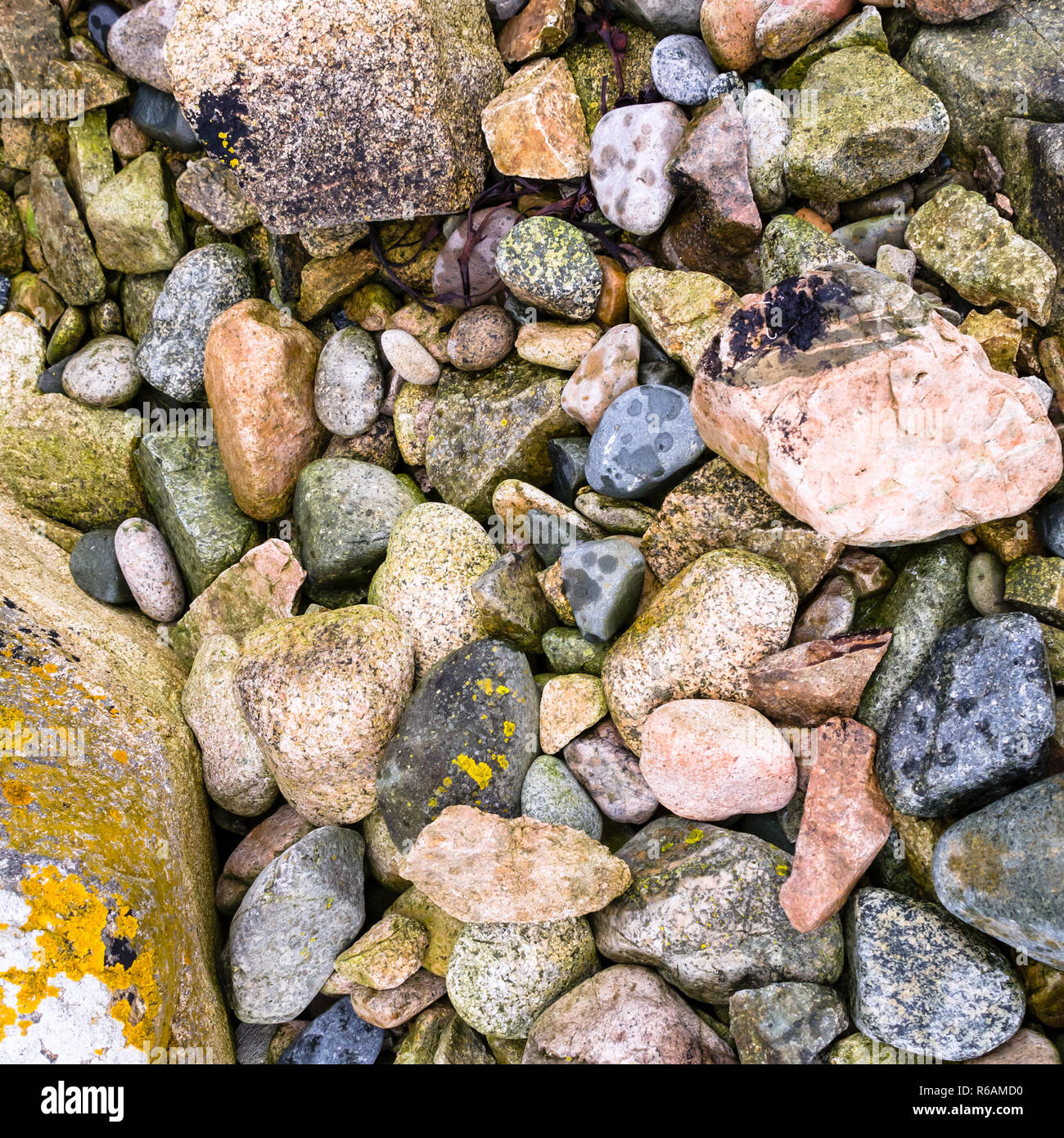 pebble on beach of Gouffre gulf of English Channel Stock Photo - Alamy