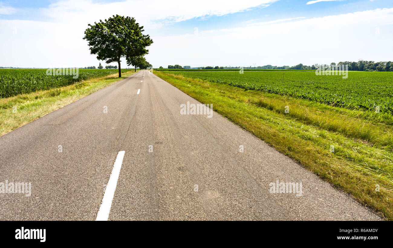 Road between agricultural fields driving hi-res stock photography and ...