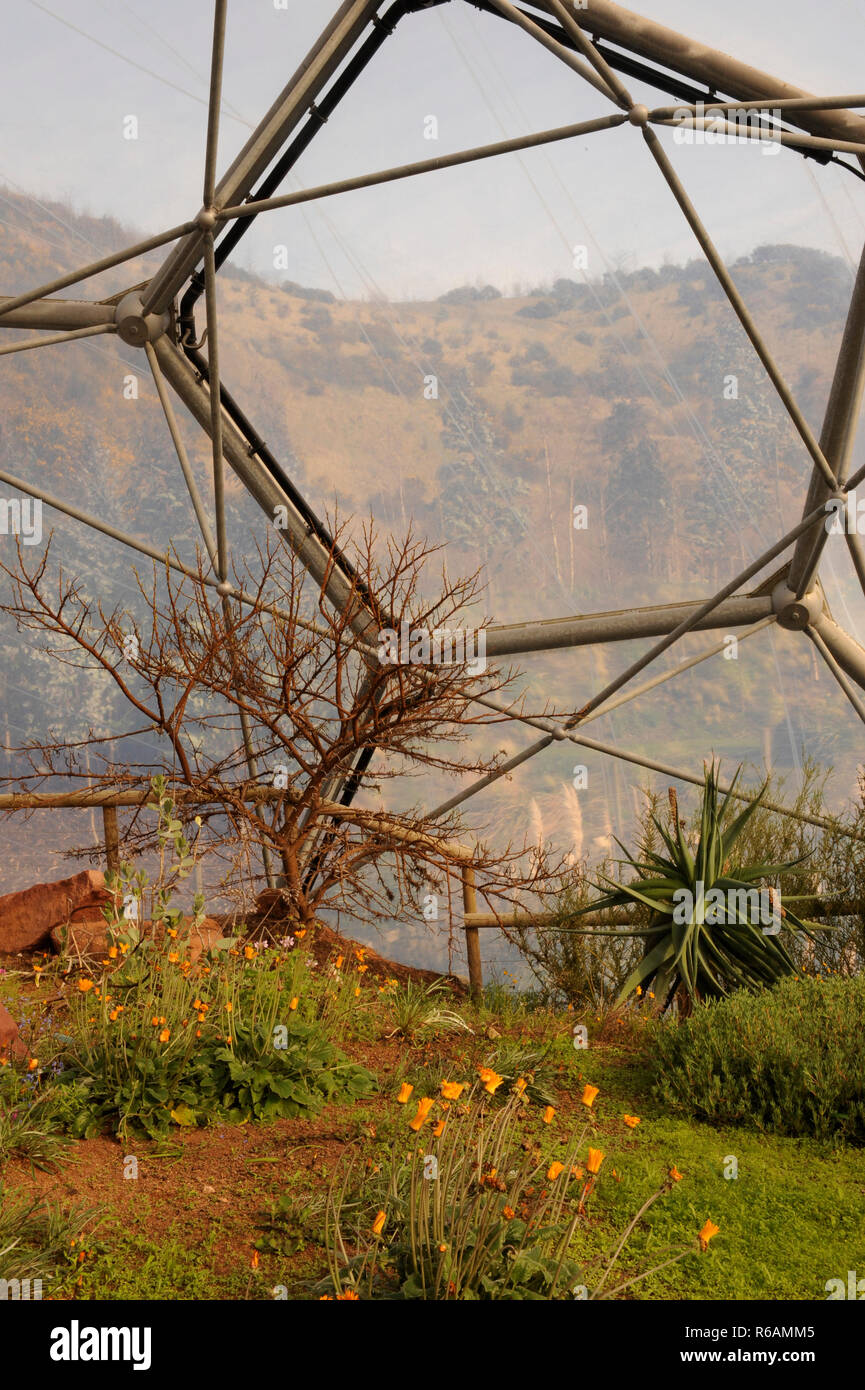 Eden project indoor waterfall hi-res stock photography and images - Alamy