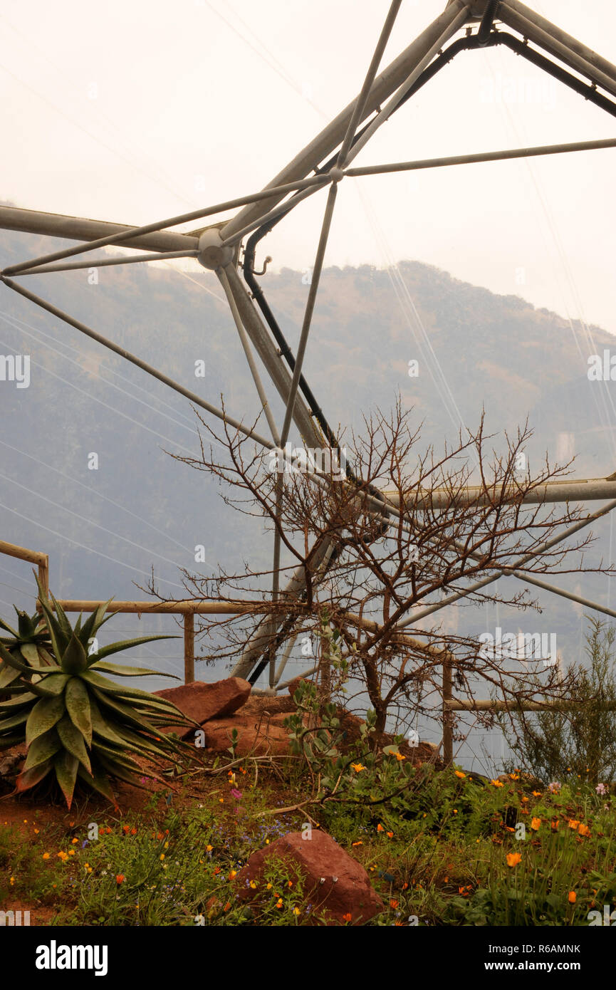 Eden project indoor waterfall hi-res stock photography and images - Alamy