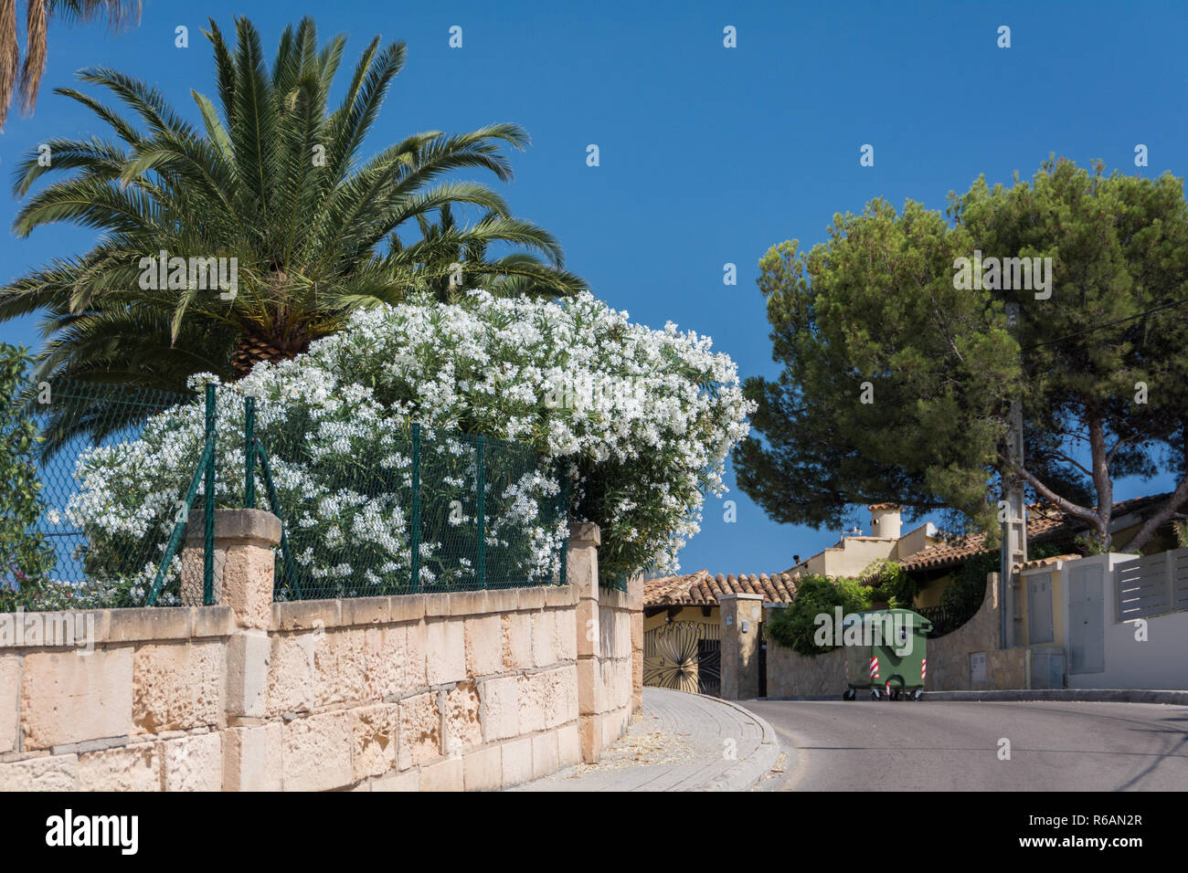 Park santa ponsa mallorca hi-res stock photography and images - Alamy