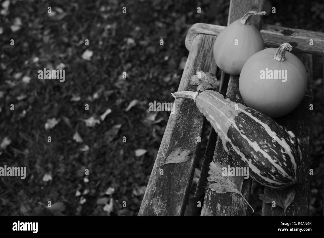 Decorative gourds Black and White Stock Photos & Images - Alamy