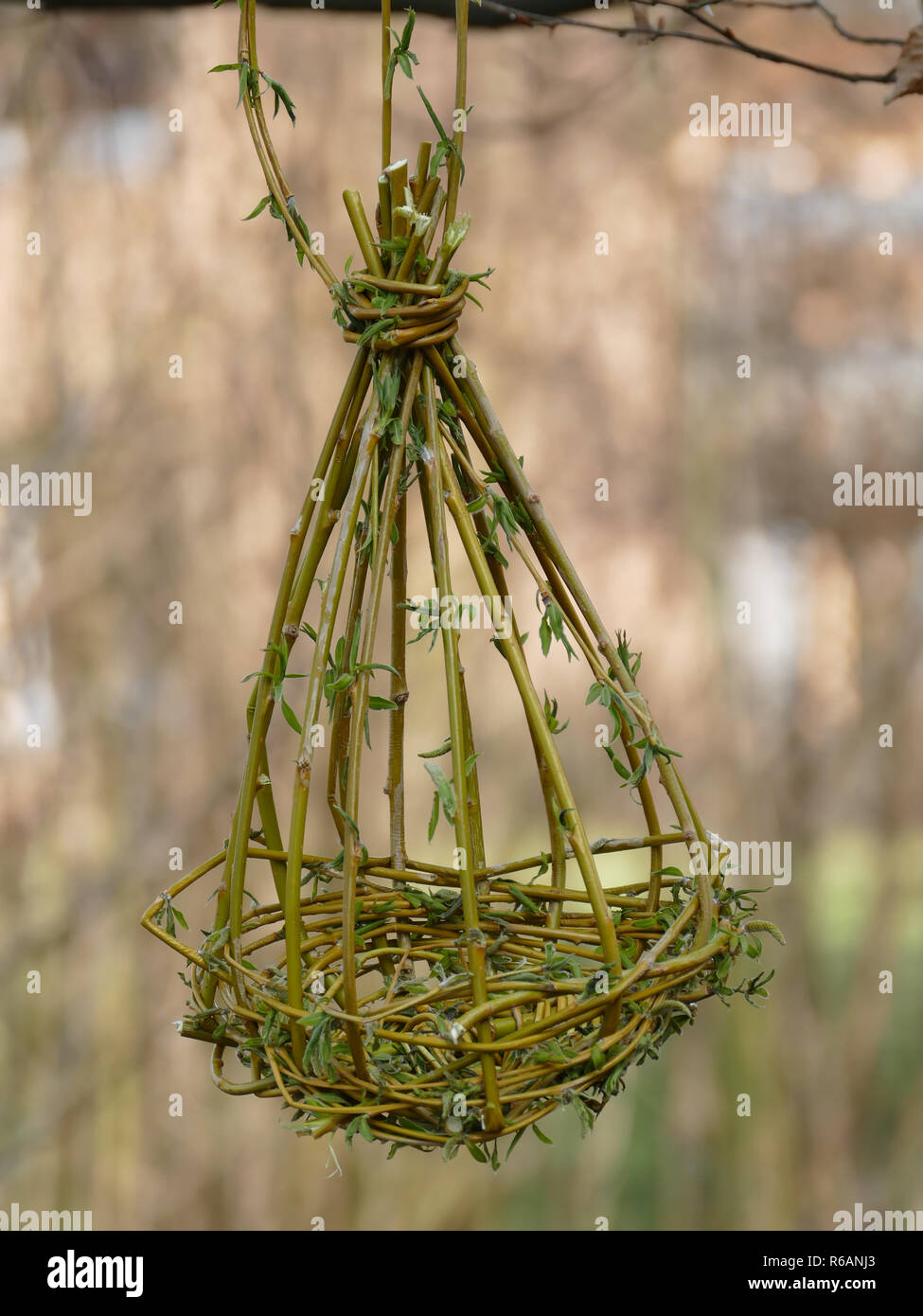 Small Wicker Basket From Fresh Willow Twigs Hanging In A Tree For Bird ...