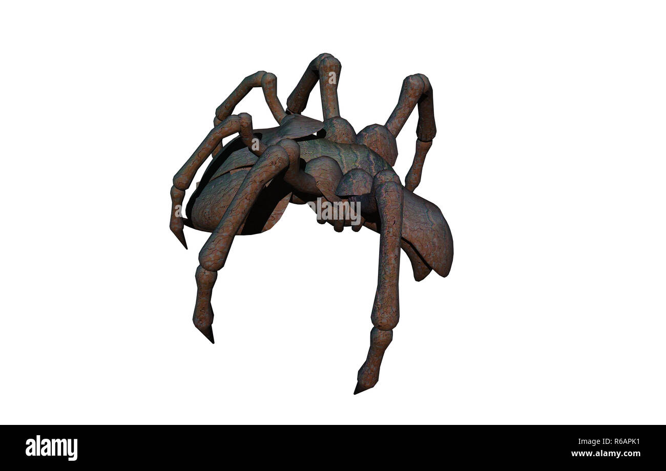 Brown spider graphic hi-res stock photography and images - Alamy