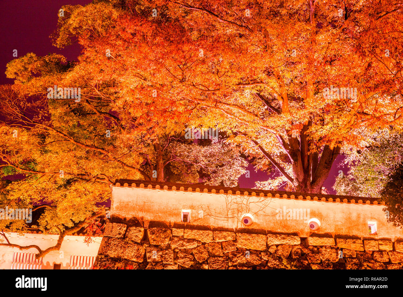 Night view of Okayama Castle, a historic samurai castle in Okayama ...
