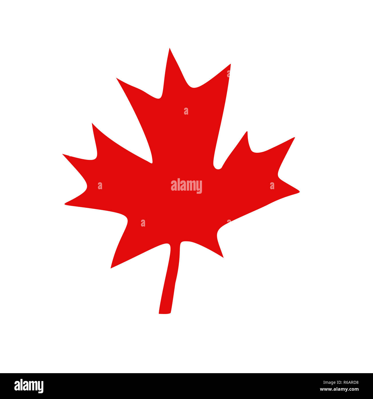 canadian red maple leaf Stock Photo - Alamy
