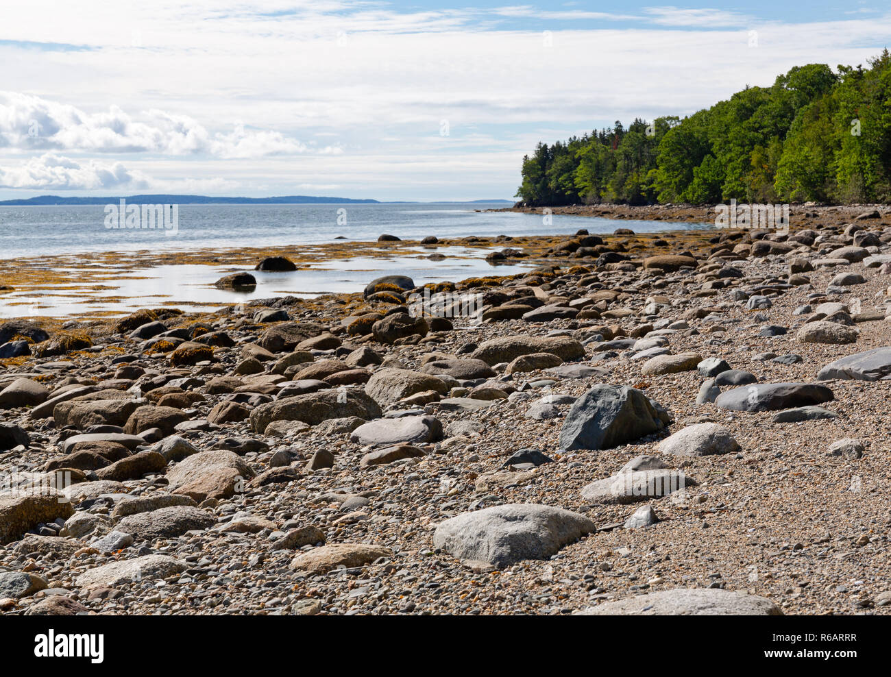 Expanse of rocks and a gravel beach on the shoreline of Sears Island in ...