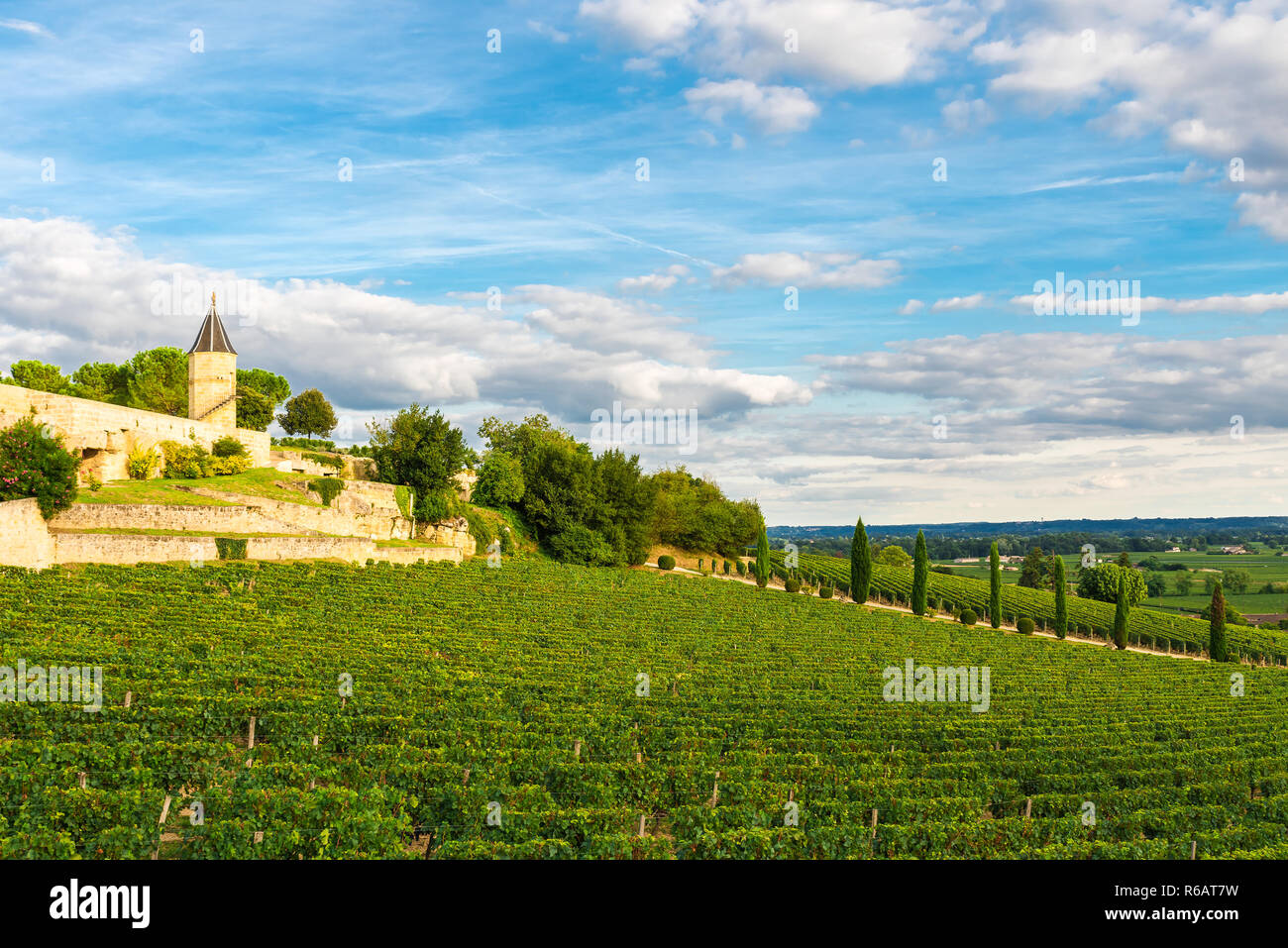 Bordeaux france vineyard hi-res stock photography and images - Alamy