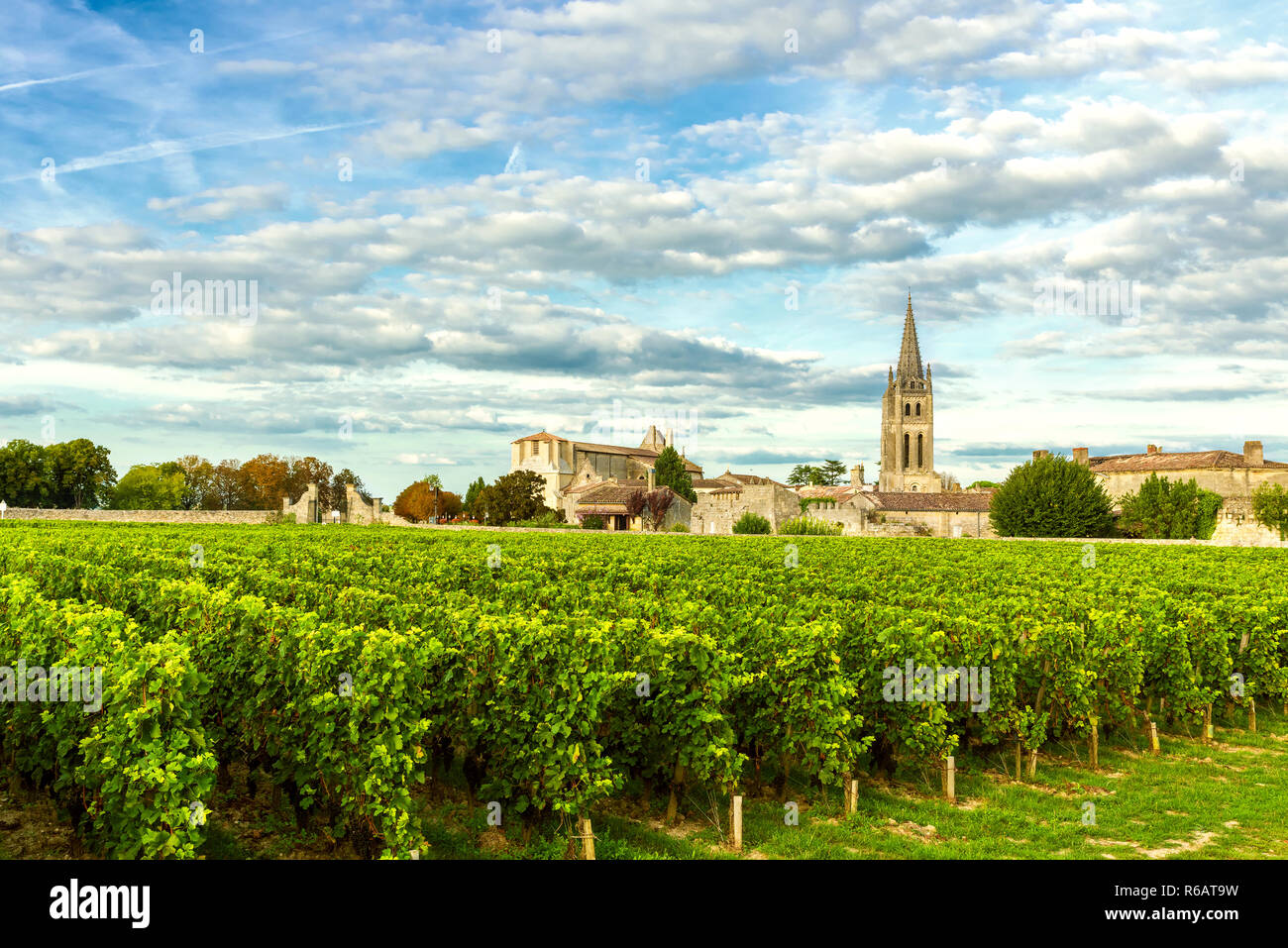 Bordeaux france vineyard hi-res stock photography and images - Alamy