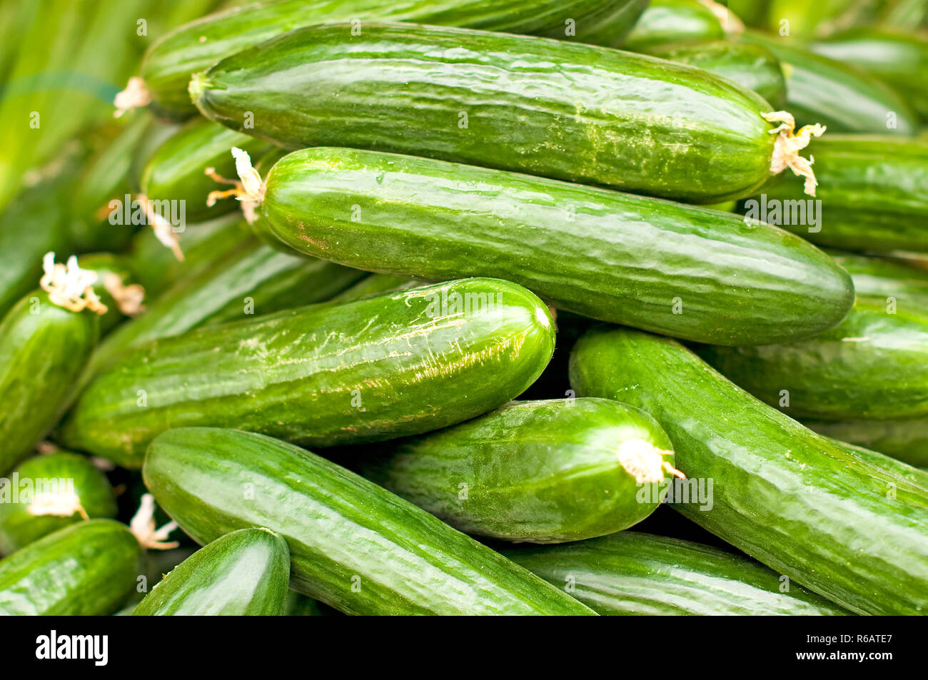 Cucumber At A Farmer Market Stock Photo - Alamy