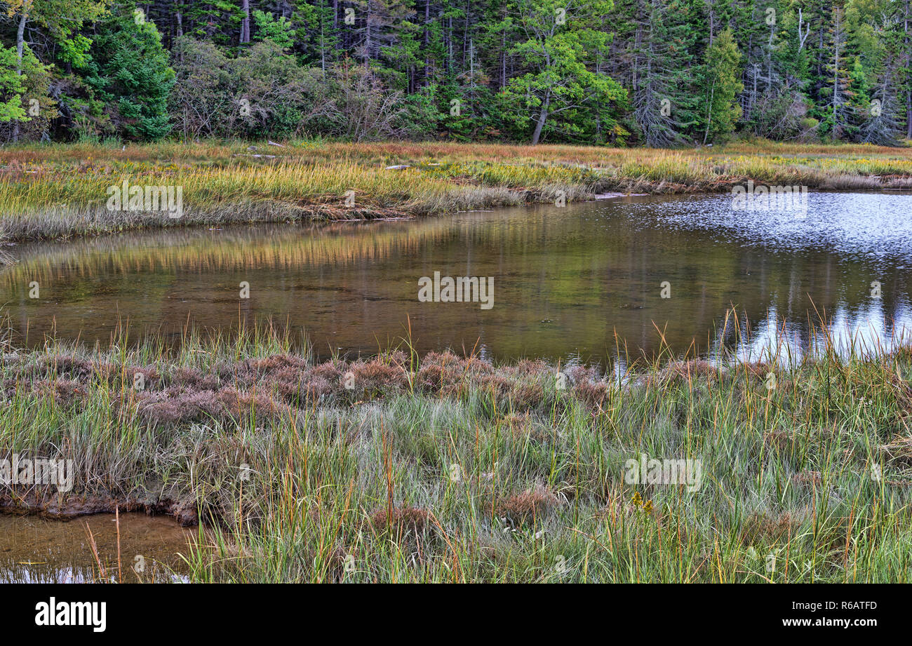 A large tidal pond on the shore of Sears Island in Maine Stock Photo ...
