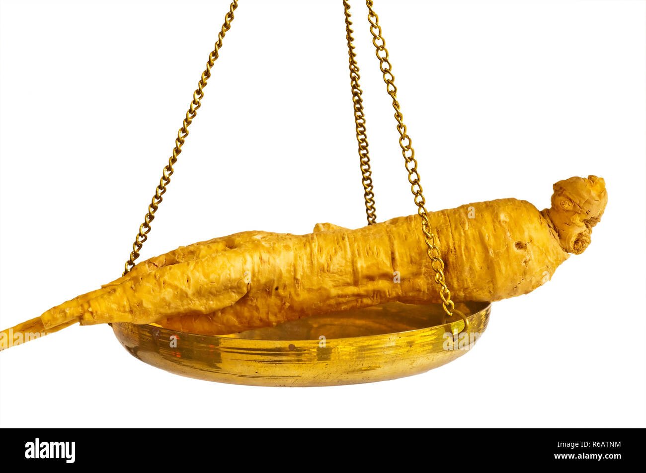 Ginseng panax ginseng whole plant hi-res stock photography and images ...