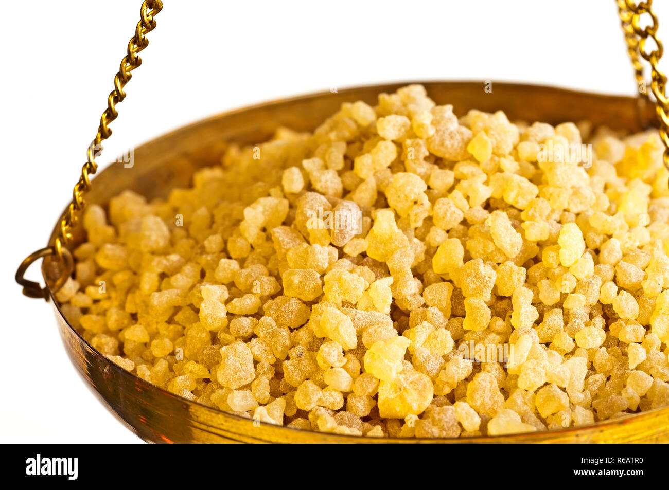 Boswellia serrata hi-res stock photography and images - Alamy