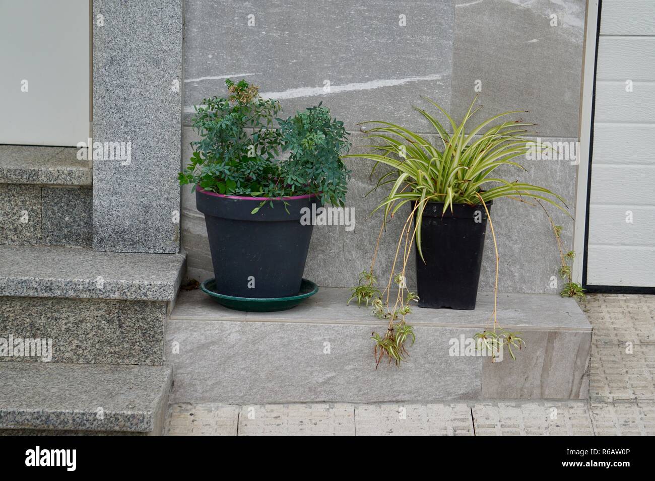 the flower pot in the street Stock Photo - Alamy