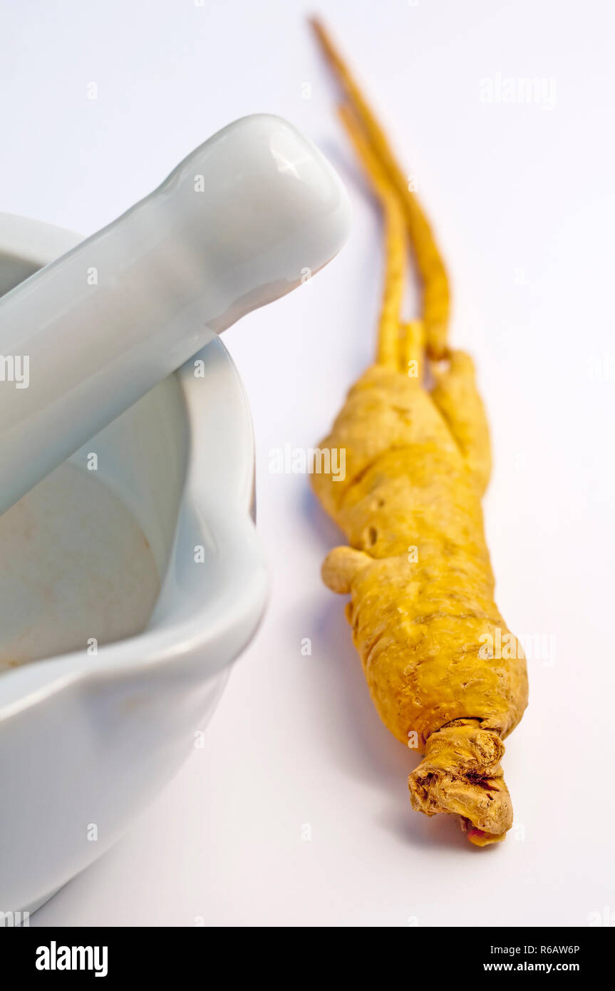 Ginseng panax ginseng whole plant hi-res stock photography and images ...