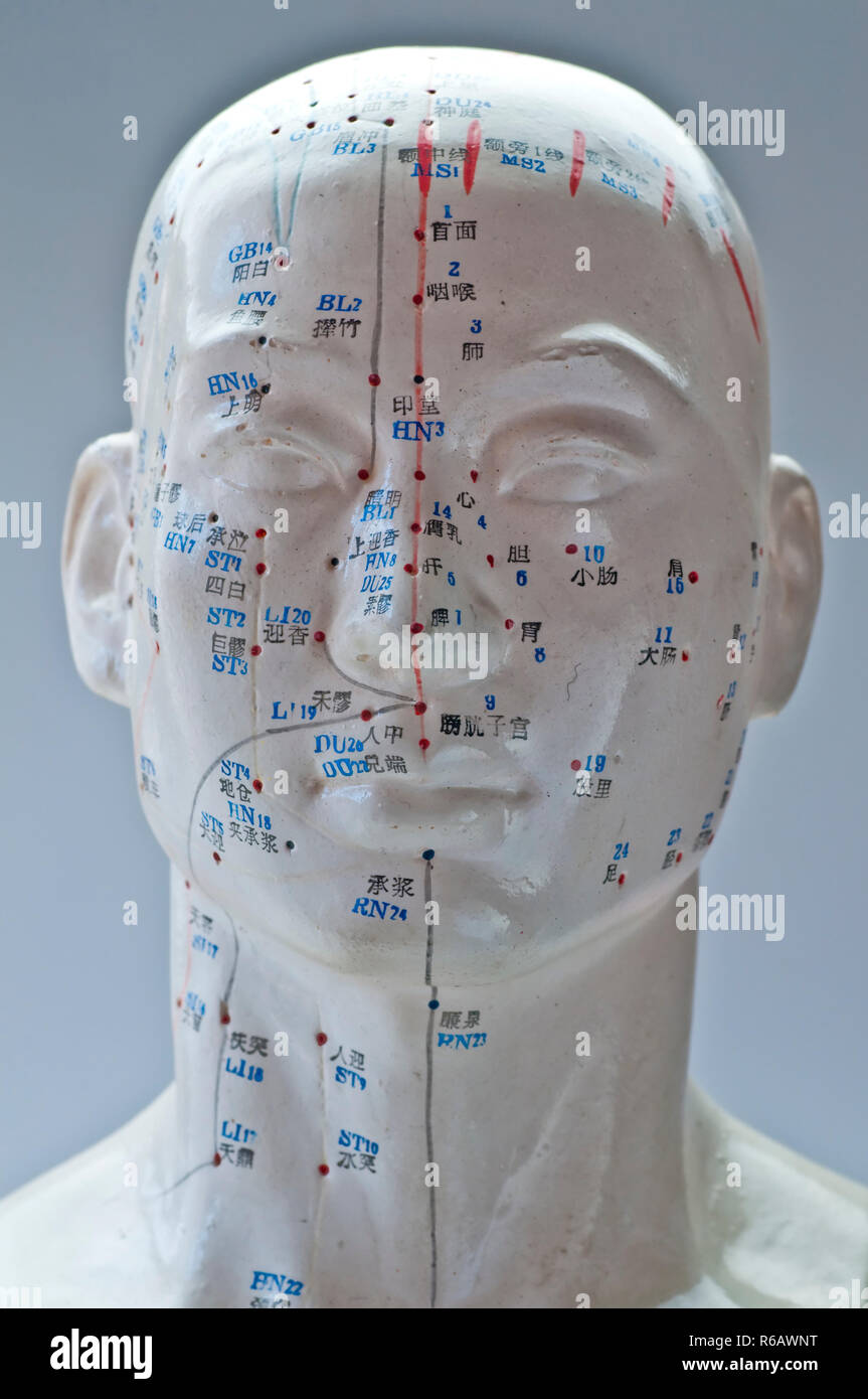 Acupuncture Head Model Stock Photo - Alamy