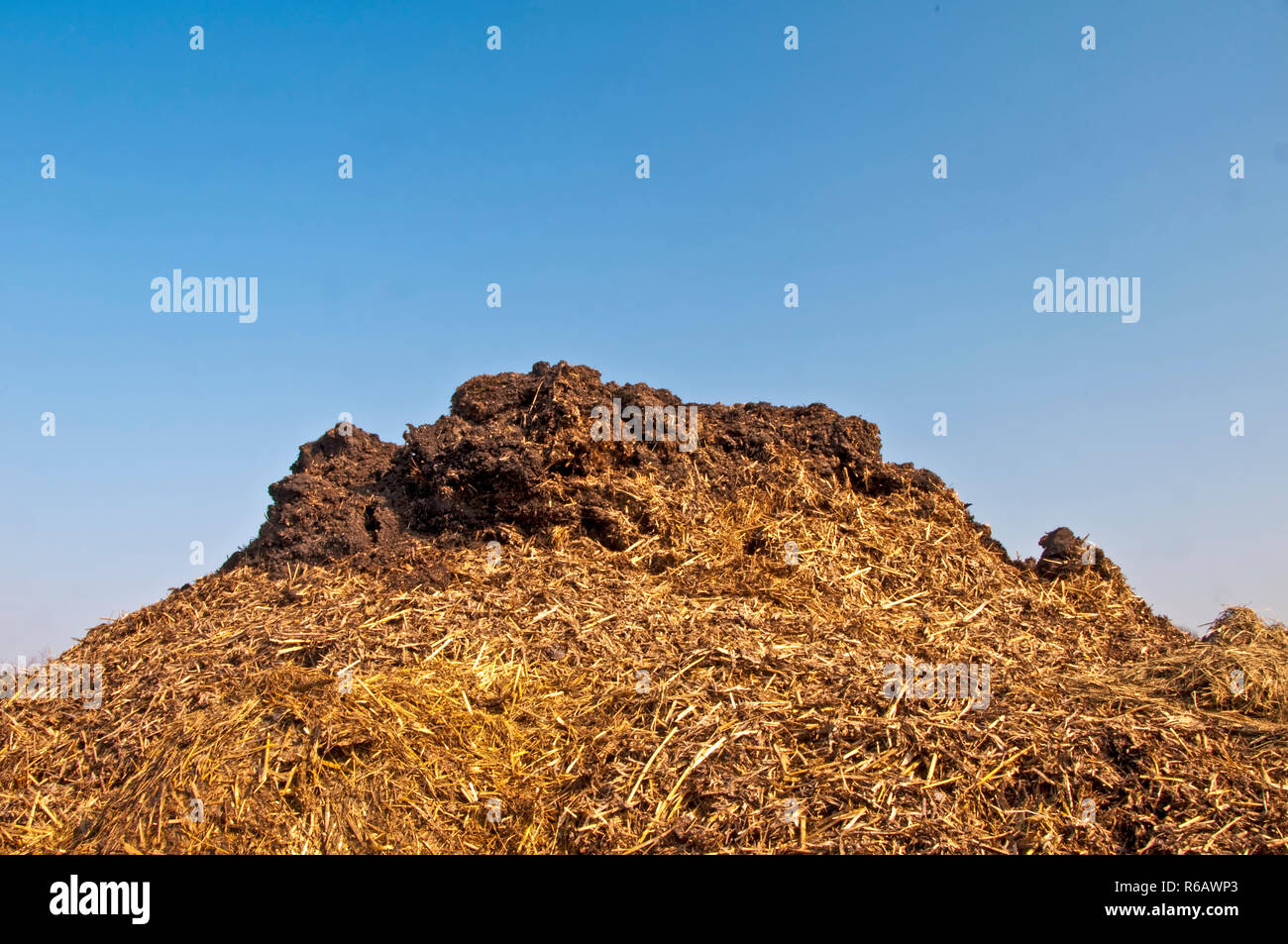 Dung Hill With A Blue Sky Stock Photo - Alamy
