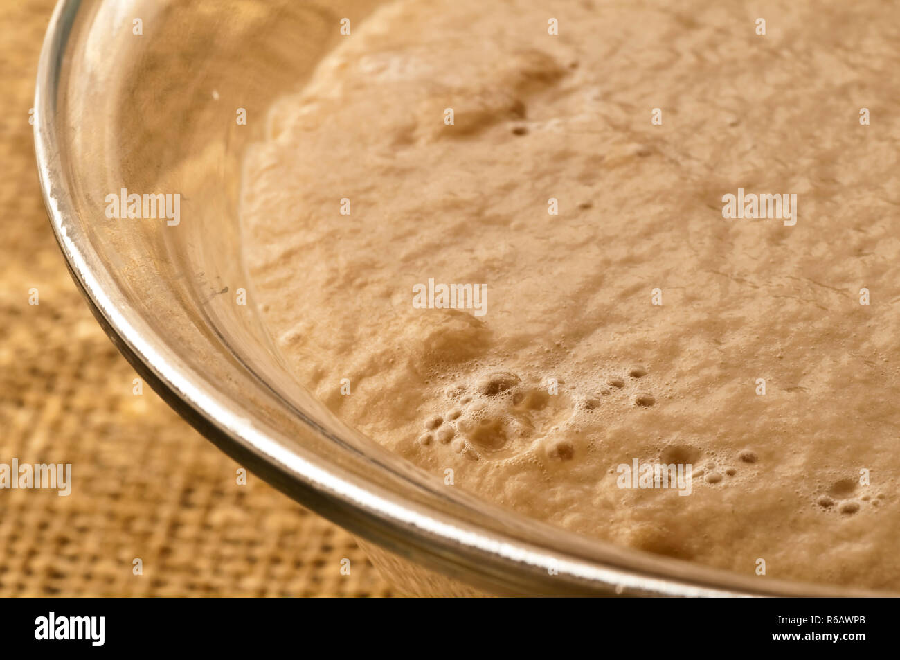 Yeast saccharomyces cerevisiae hi-res stock photography and images - Alamy
